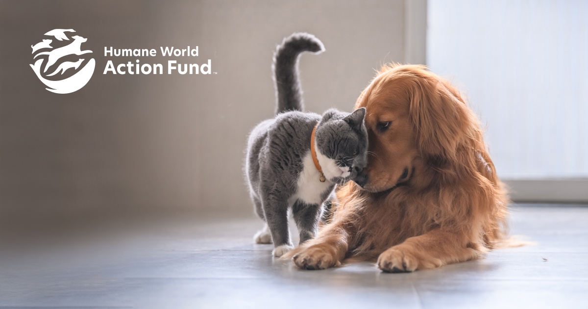 Humane Society to become "Humane World for Animals” to better reflect ...